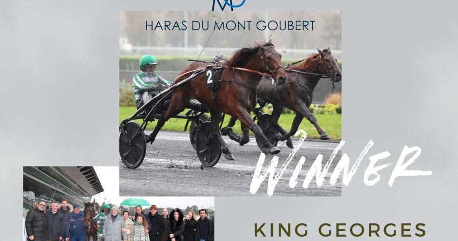 King Georges convoque toute sa cour - Actualités du Haras du Mont Goubert
